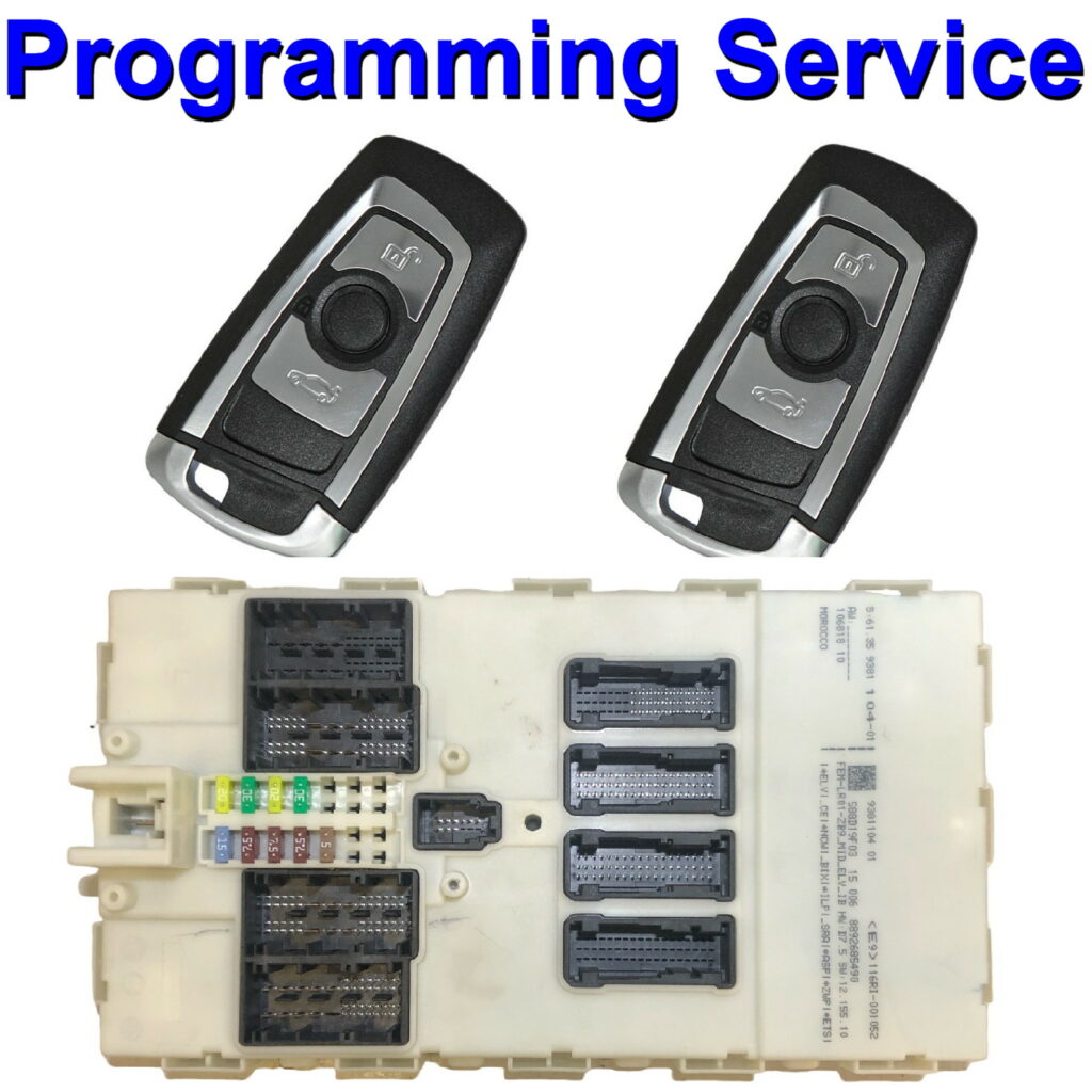 BMW FEM - BDC unit / Immobilizer Control Module / Body Control Module ...
